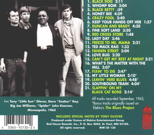 Lots More Blues, Rags & Hollers · Dave Snaker Ray